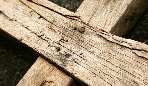 JustinHuffman.org | The Online Home of Pastor Justin Huffman – Grow in ...