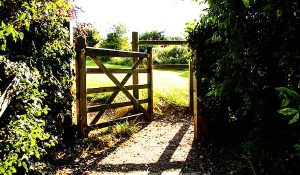 JustinHuffman.org | The Online Home of Pastor Justin Huffman – Grow in ...